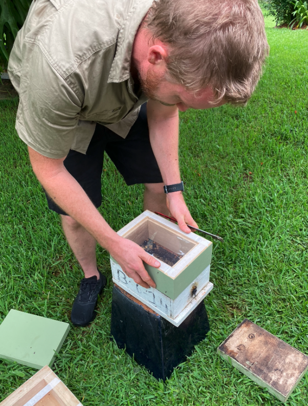 Australian Native Bee Hives - No Stings Attached